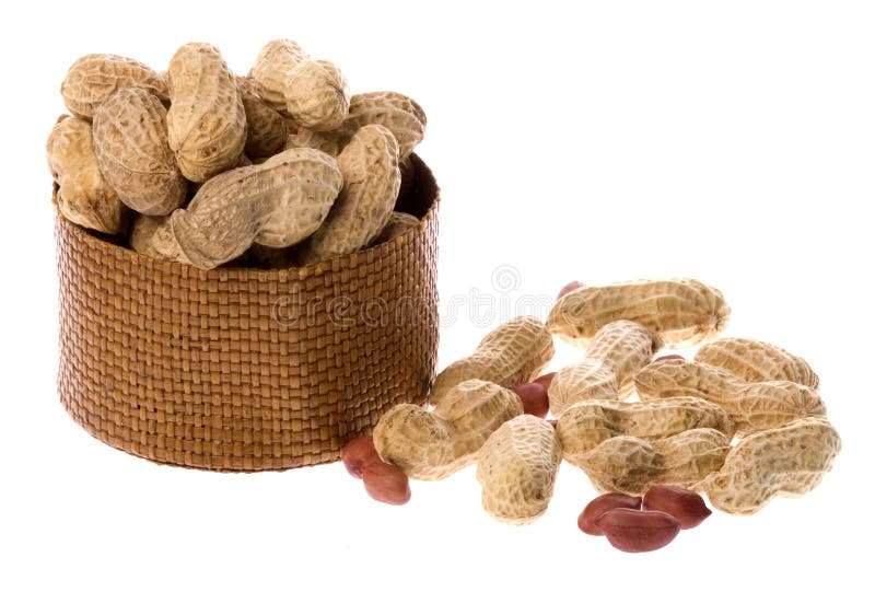 Groundnuts Isolated stock image. Image of macro, detail - 6157455