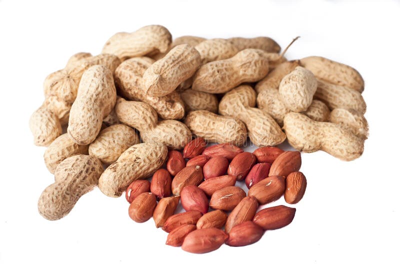 Raw Groundnuts Isolated stock photo. Image of ingredients - 6156980