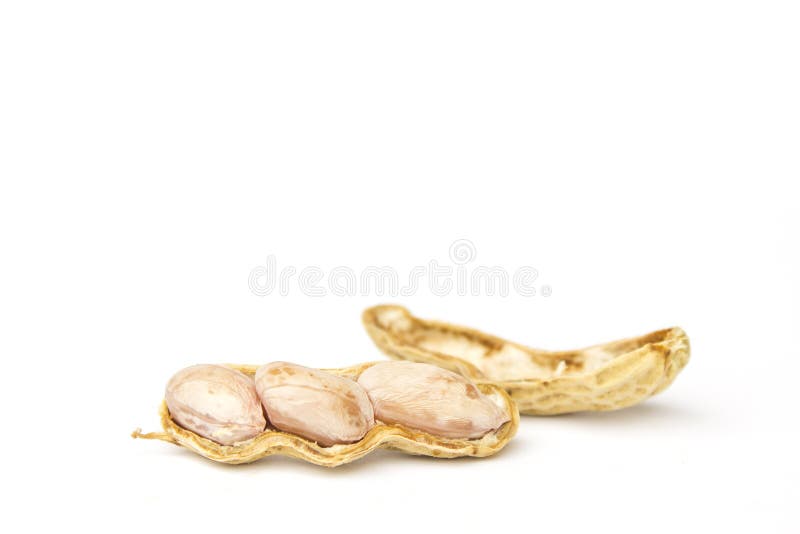 Groundnuts Isolated on White Background Stock Image - Image of brown ...