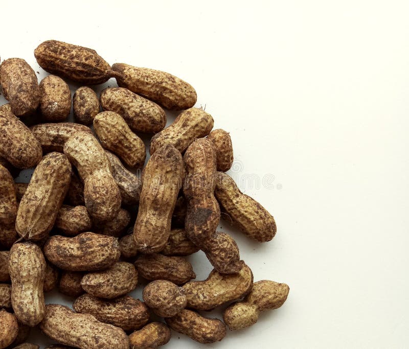 Groundnuts stock photo. Image of nutrients, delicious - 98846472