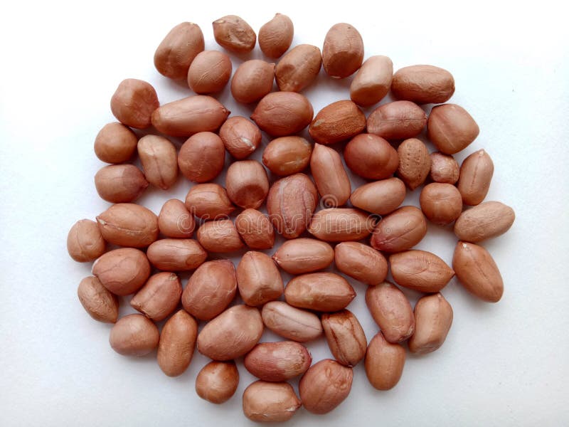 Groundnuts stock photo. Image of groundnuts, healthy - 98847218
