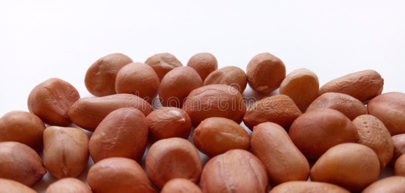 Groundnuts stock photo. Image of healthy, dried, nature - 98847342