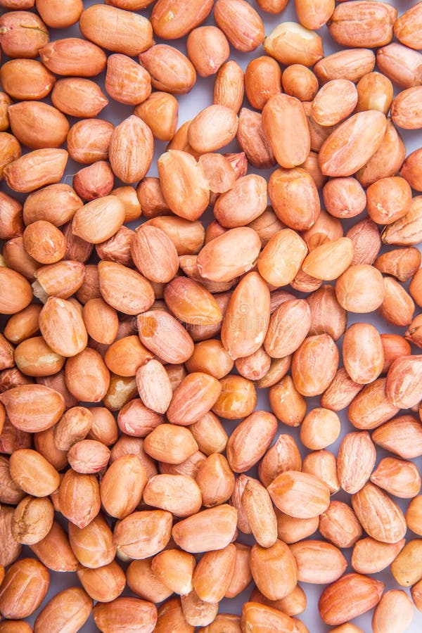 Groundnuts or Peanuts Close Up View I Stock Image - Image of crop ...