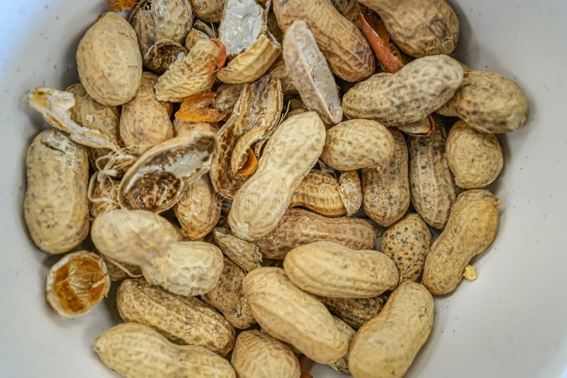 Groundnuts Peanuts in Shell Ready To Eat Stock Image - Image of nuts ...
