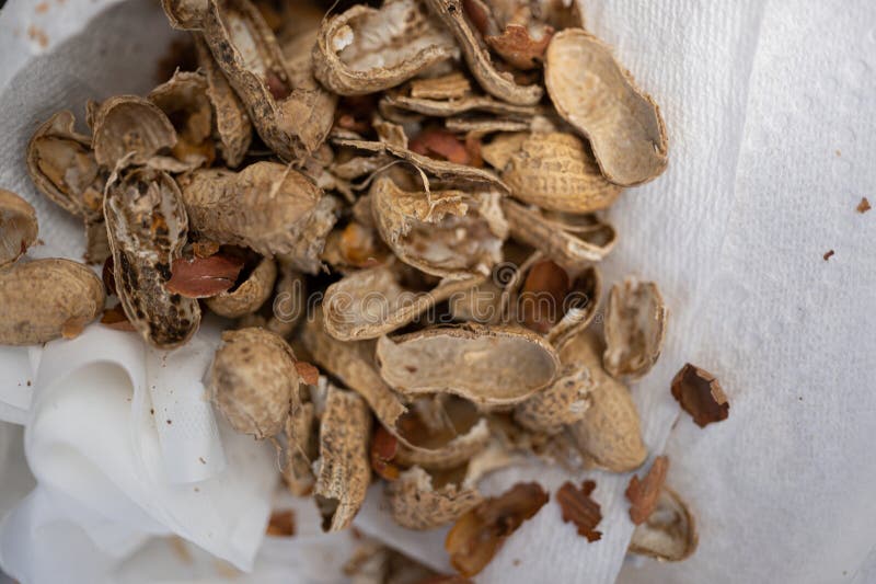 Groundnuts Peanuts Shell Cracked Open Stock Photo - Image of peanut ...