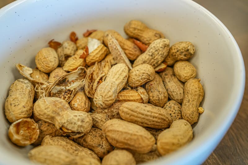 Groundnuts Peanuts in Shell Ready To Eat Stock Image - Image of roasted ...