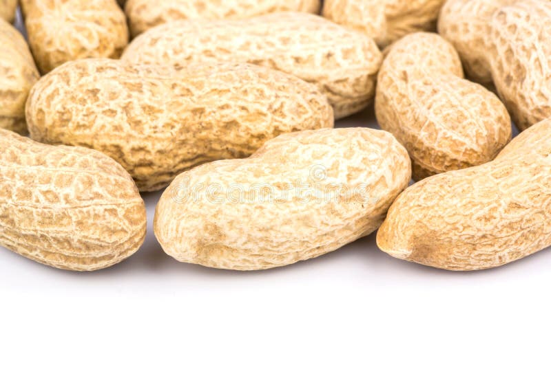 Two groundnuts stock image. Image of healthy, agriculture - 48947613