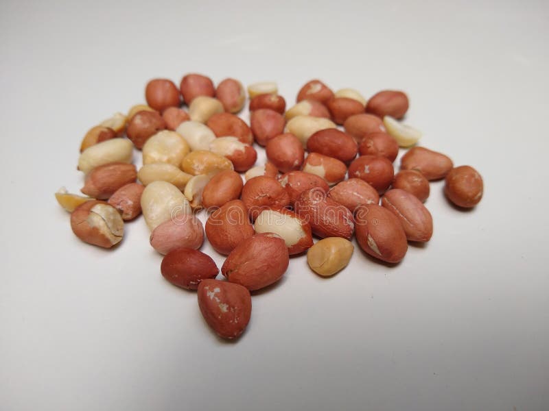 Groundnuts on White Background Stock Photo - Image of produce, tree ...