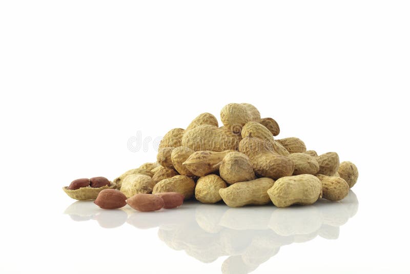 Groundnuts on White Background Stock Image - Image of organic, peanuts ...