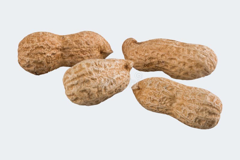 1,485 Groundnuts White Stock Photos - Free & Royalty-Free Stock Photos ...
