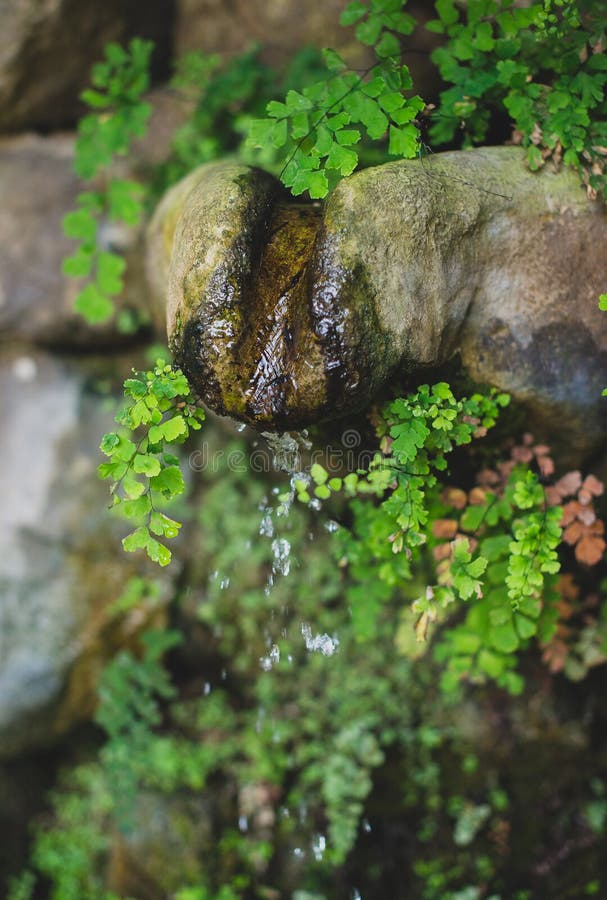 Groundwater Stock Images - Download 2,996 Royalty Free Photos