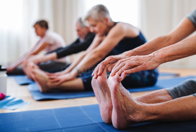Group of Senior People Doing Exercise in Community Center Club. Stock ...