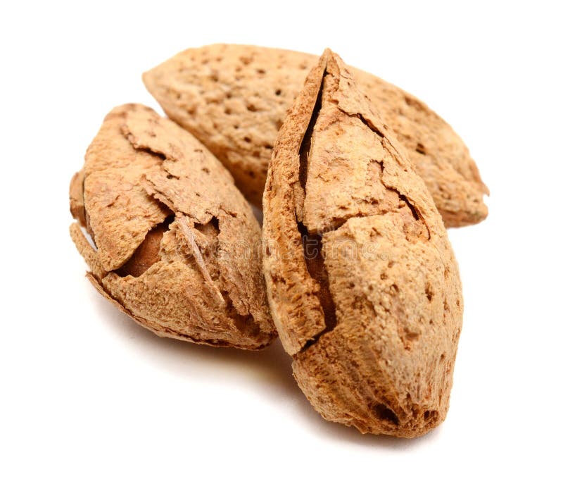 Almonds Isolated on White Background. Group of Brown Fresh Almon Stock ...