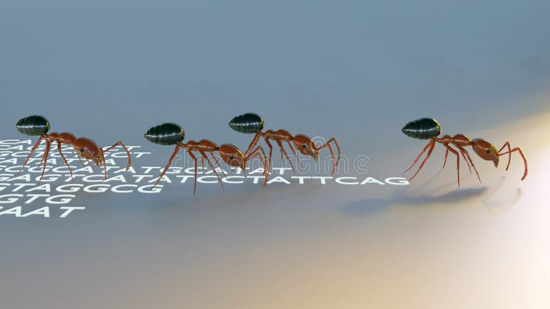 A Group of Ants Moving Across a DNA Sequence Stock Illustration ...