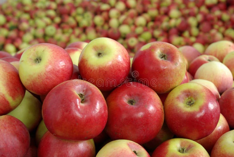Group apple stock image. Image of essential, healthy, apple - 3232447