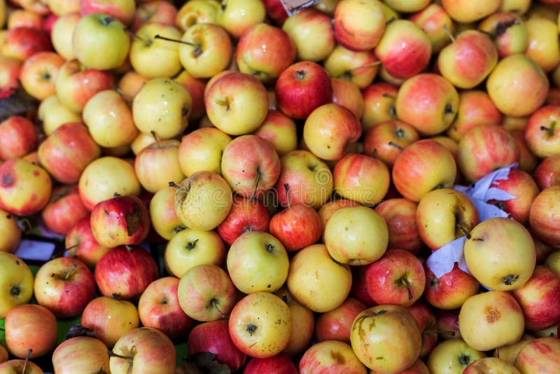 Group Apple stock photo. Image of leaf, jazz, sweet, fresh - 59554584