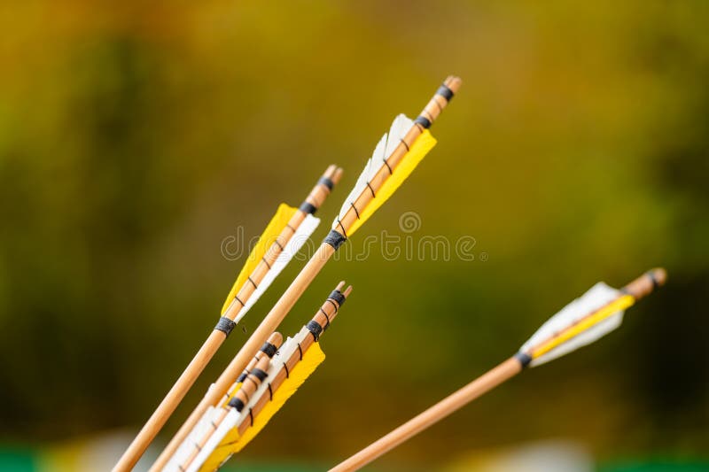 A Group of Arrows are Shown with Yellow and White Tips Stock Image ...