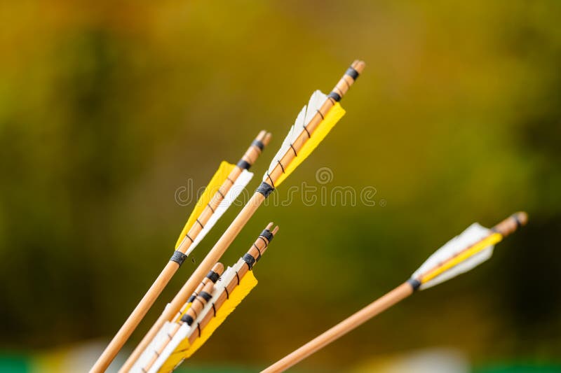 A Group of Arrows are Shown with Yellow and White Tips Stock Image ...