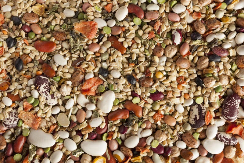 Group of Assorted Dry Beans Stock Photo - Image of nutrition, food ...