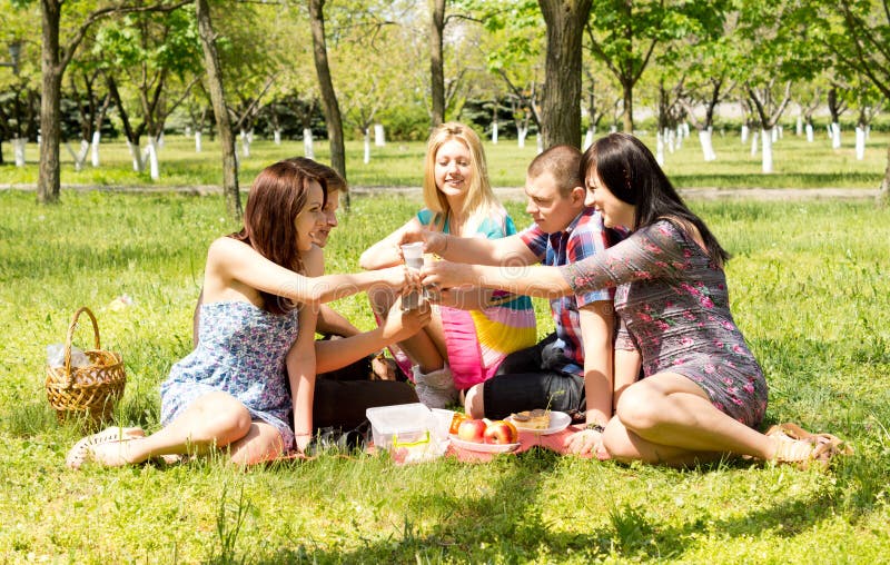 A Group of Attractive Young Friends on Picnic Stock Image - Image of ...