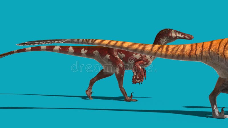 Group of Austroraptors Walks Blue Screen Side Dinosaurs 3D Rendering ...