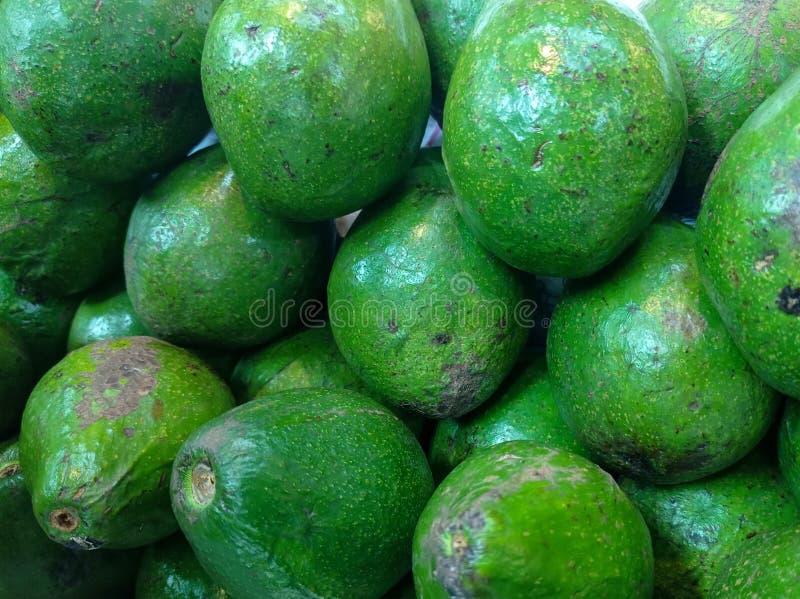 Group of Avocado on Local Grocery Stock Photo - Image of green, leaf ...