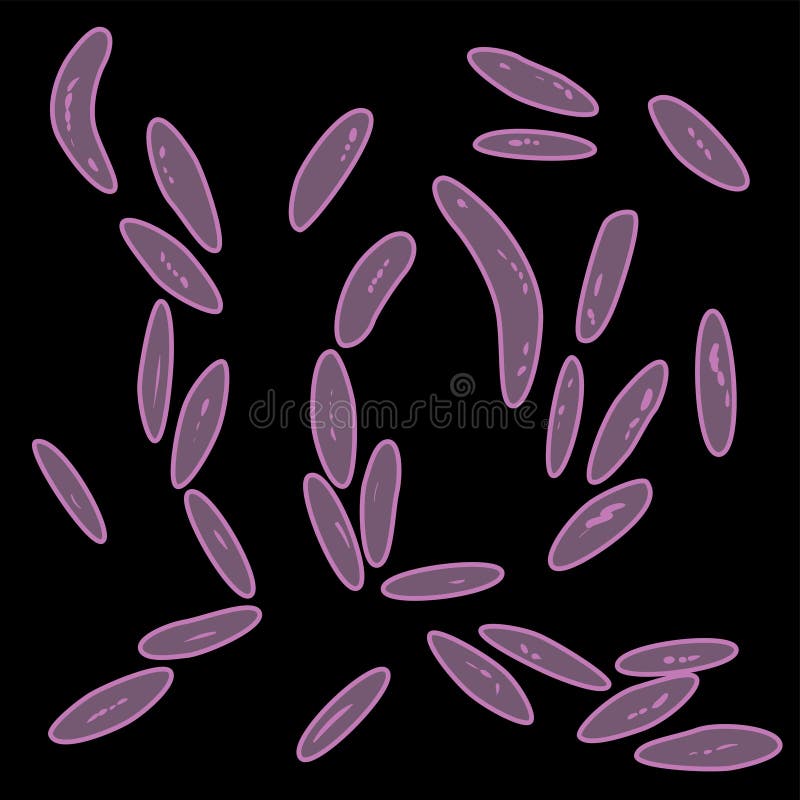 Group of Bacteroidetes on Black Background, Illustration Stock Vector ...