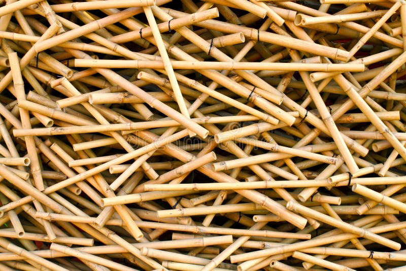 Group of bamboo sticks stock image. Image of pattern - 23022055