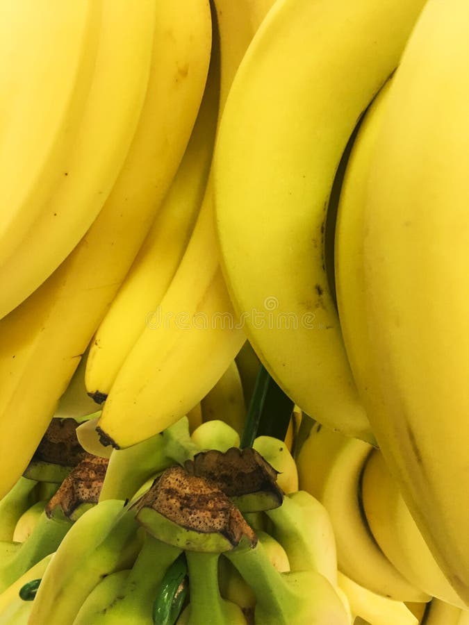 Group of bananas stock photo. Image of agriculture, ripe - 83643730