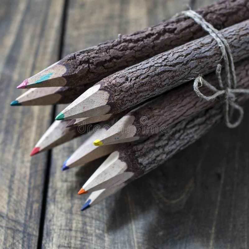 Group of Bark Covered Branch Multicolored Pencils Stock Image - Image ...
