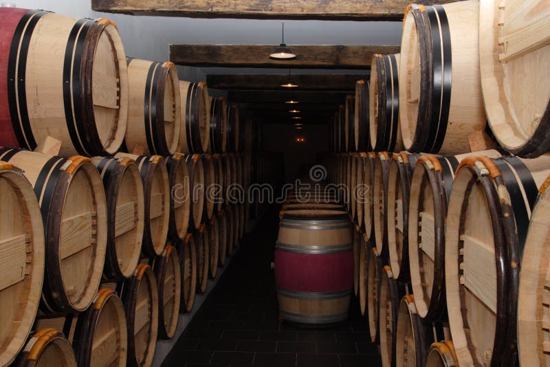 Group of barrels stock image. Image of basement, wine - 9119839