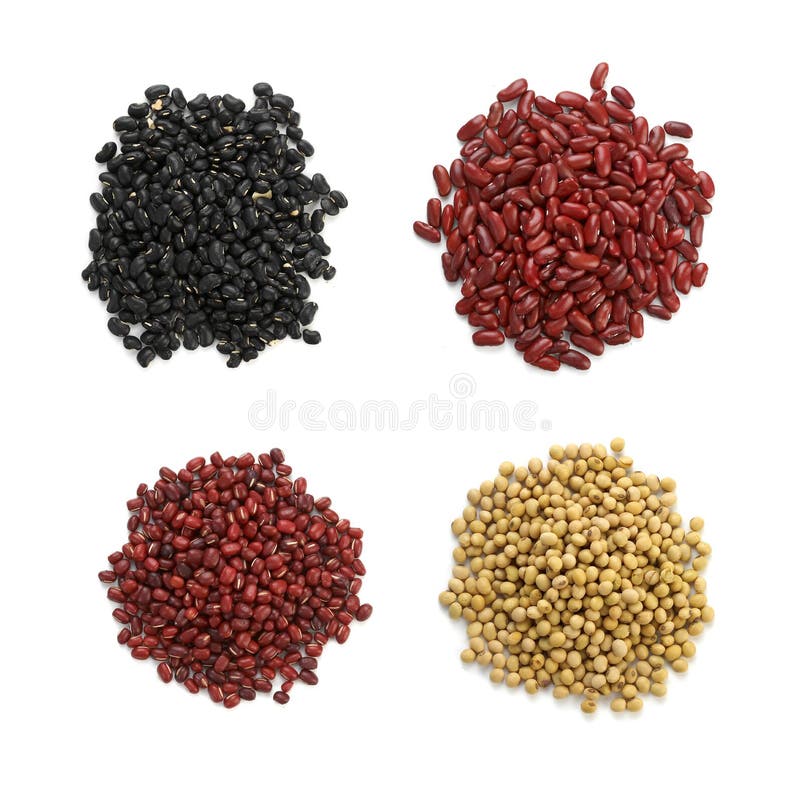 Group of Bean on White Back Ground Stock Image - Image of vegetarian ...