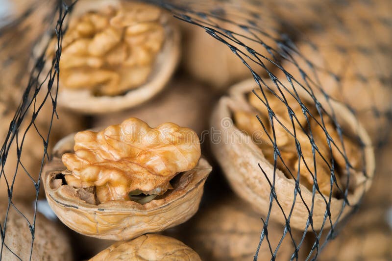 26,939 Cracked Nutshell Photos - Free & Royalty-Free Stock Photos from ...