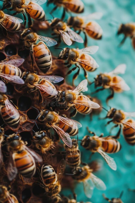 A Group of Bees Sitting on a Bright Blue Surface, Potentially in a Hive ...
