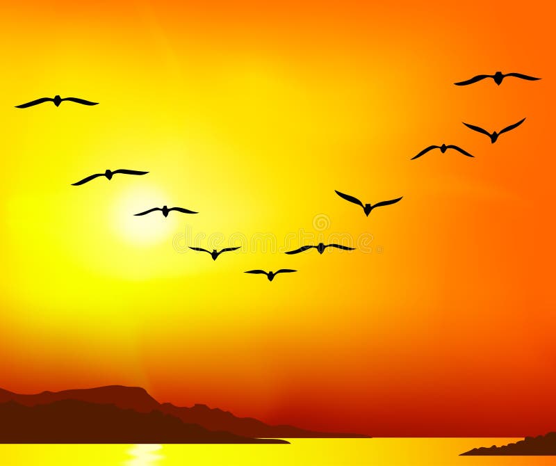 Birds on air stock image. Image of aquatic, nature, arabia - 10703597