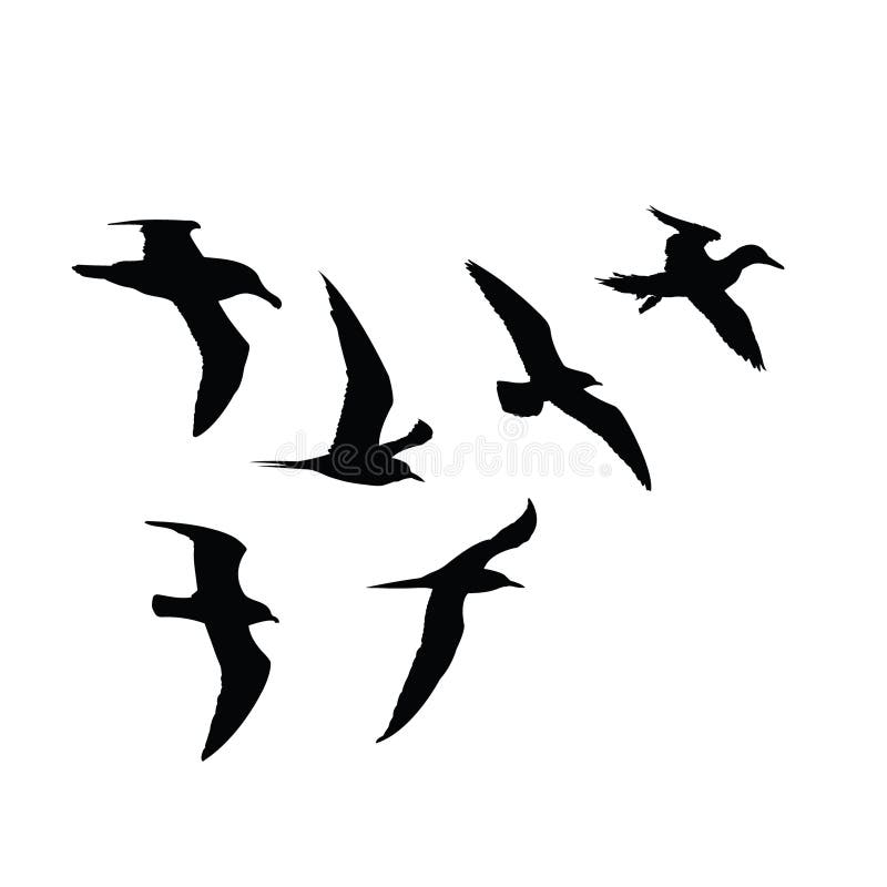 Group of Birds Flying Together Vector Silhouette Design. Birds Flock ...