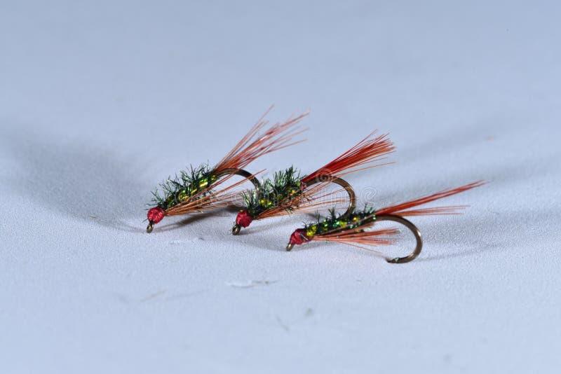 Black Midge imitation stock photo. Image of midge, caddis - 235240870