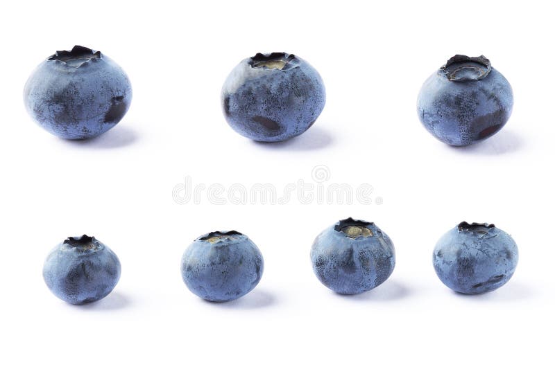 Group of Bluberries, Side View Stock Image - Image of bush, leaf: 122840471