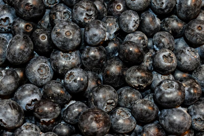 Bunch of Blueberries Fruit Background Stock Image - Image of healthy ...