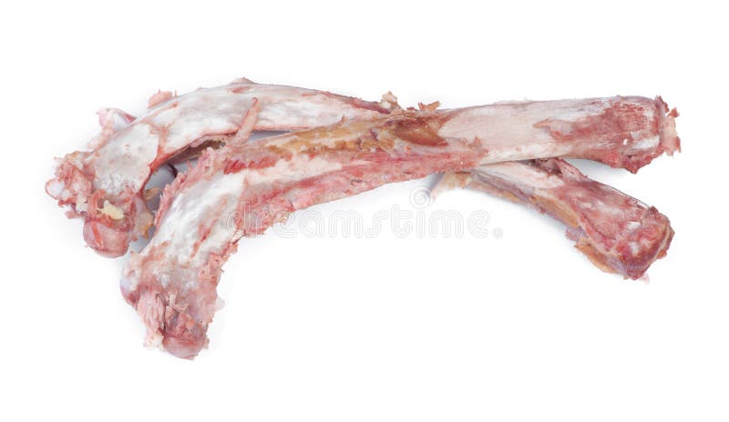 Group of bones with flesh stock photo. Image of horror - 143349952