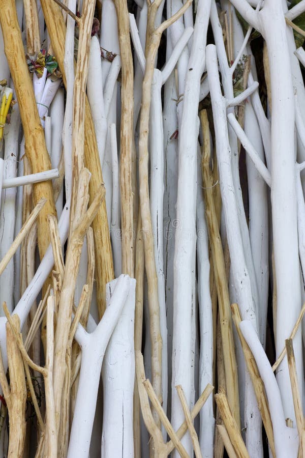 Group of Branch Wood White Natural Color Stock Photo - Image of wooden ...