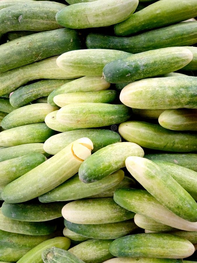 A Group of Cucumber in a Vegetable Market Stock Image - Image of flower ...