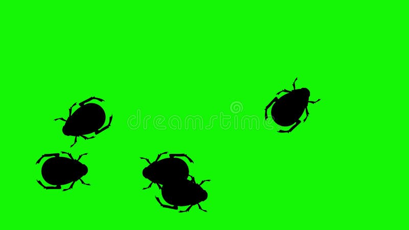 Group of Bugs Walking Animation on Green Screen Chroma Key Stock Video ...