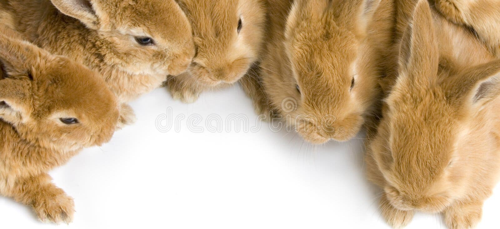 American Teenager Picture. Image: 2407542