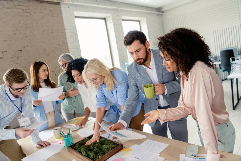 Group of Business Professionals Collaborating at Work Over a Project in ...