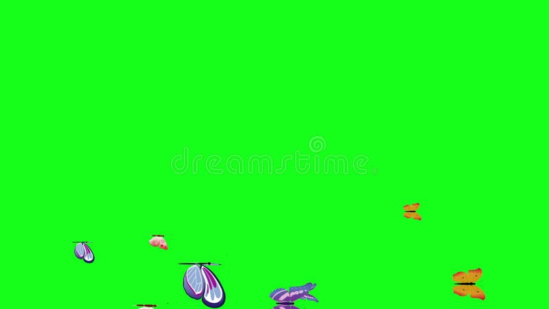 Group of Butterflies Fly on Green Screen Chroma Key, Graphic Source ...