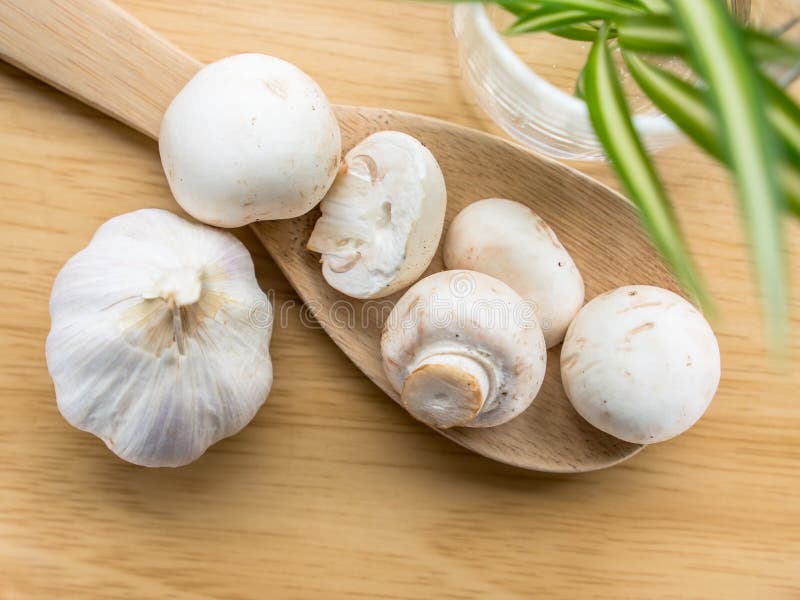 Buttom mushroom stock photo. Image of mushroom, leaves - 30106256