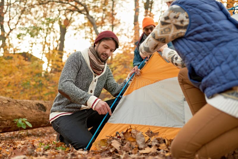 Group of Canadian Hikers Setting Up a Tent in a Fall Forrest Stock ...
