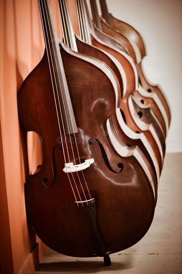 Group of Cellos in the Workshop Violin Maker Stock Image - Image of ...