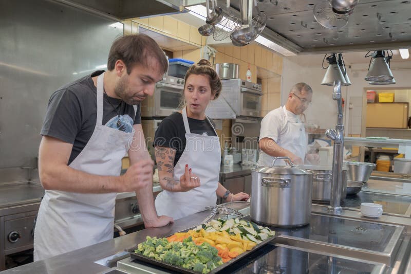 Group of Chefs Prepare Fresh Food in a Modern Kitchen while ...